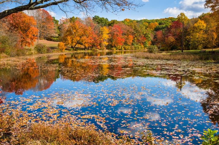 Connecticut Hunting Guide 2026 | Seasons, Regulations & Best Spots ...