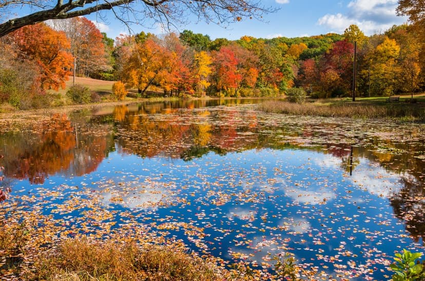Connecticut Hunting Guide 2026 | Seasons, Regulations & Best Spots ...