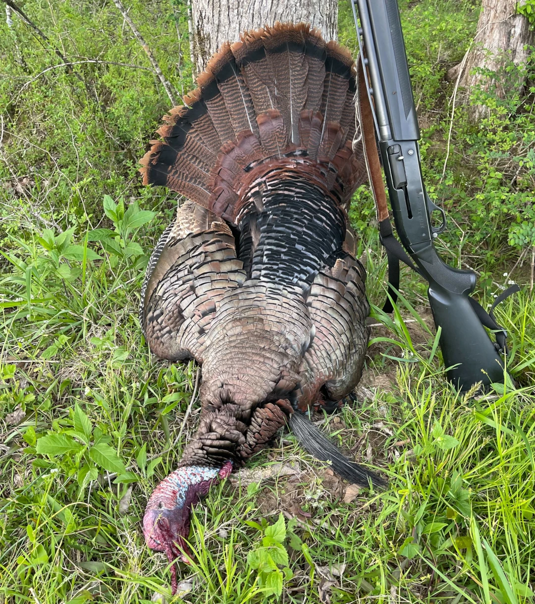 Turkey Season is Here, Are You Ready? | The Inside Spread
