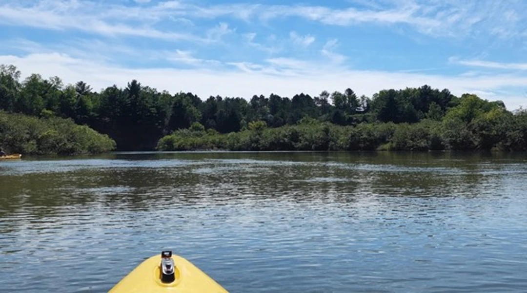 Michigan Fishing Licenses & Regs 2025 | The Inside Spread